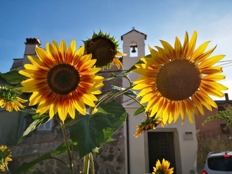 Koper, a pretty, authentic town on the Slovenian coast - SECRET SLOVENIA